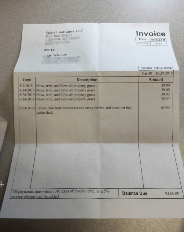 Why I Stopped Cutting My Grass And How It s Made Me 1000s Of Dollars 